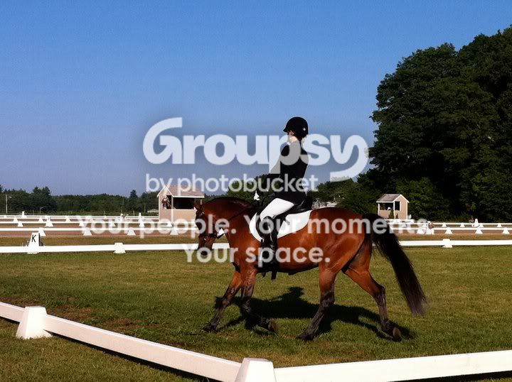 What colors for the hunter pleasure ring on this pony? - Hunter/Jumper ...