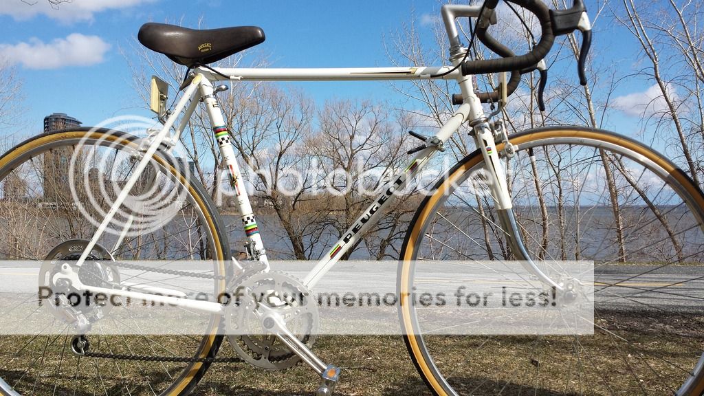 Bike Forums - Can't identify model of peugot possibly a px 10 but I ...