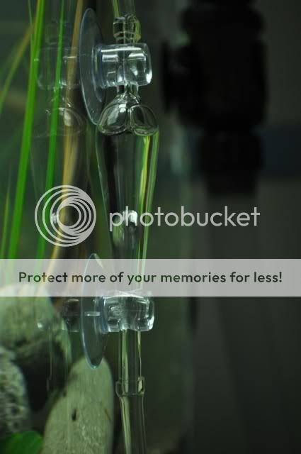 75P ADA finally starting | The Planted Tank Forum