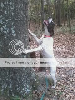 UKC Forums - Amazing Tack Factor